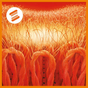 Heat Holders® The Warmest Thermal Socks - Heatholders.co.uk